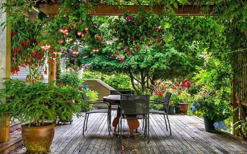 10 Inspirasi Bunga Gantung di Teras Rumah. Hunian Jadi Cantik dan Asri ...