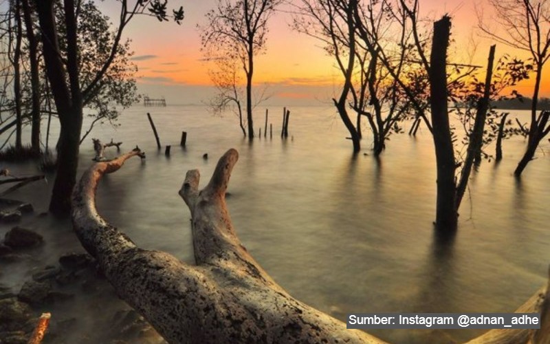 Daftar Nama-nama Dataran Rendah di Pulau Jawa yang Perlu Kamu Ketahui ...